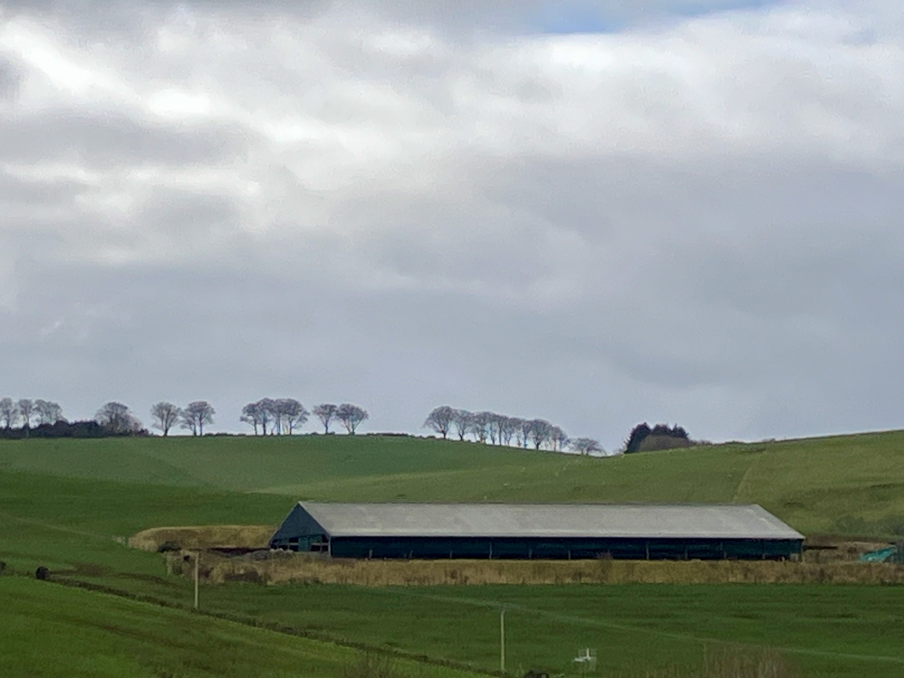 Walking and Place | Groundings